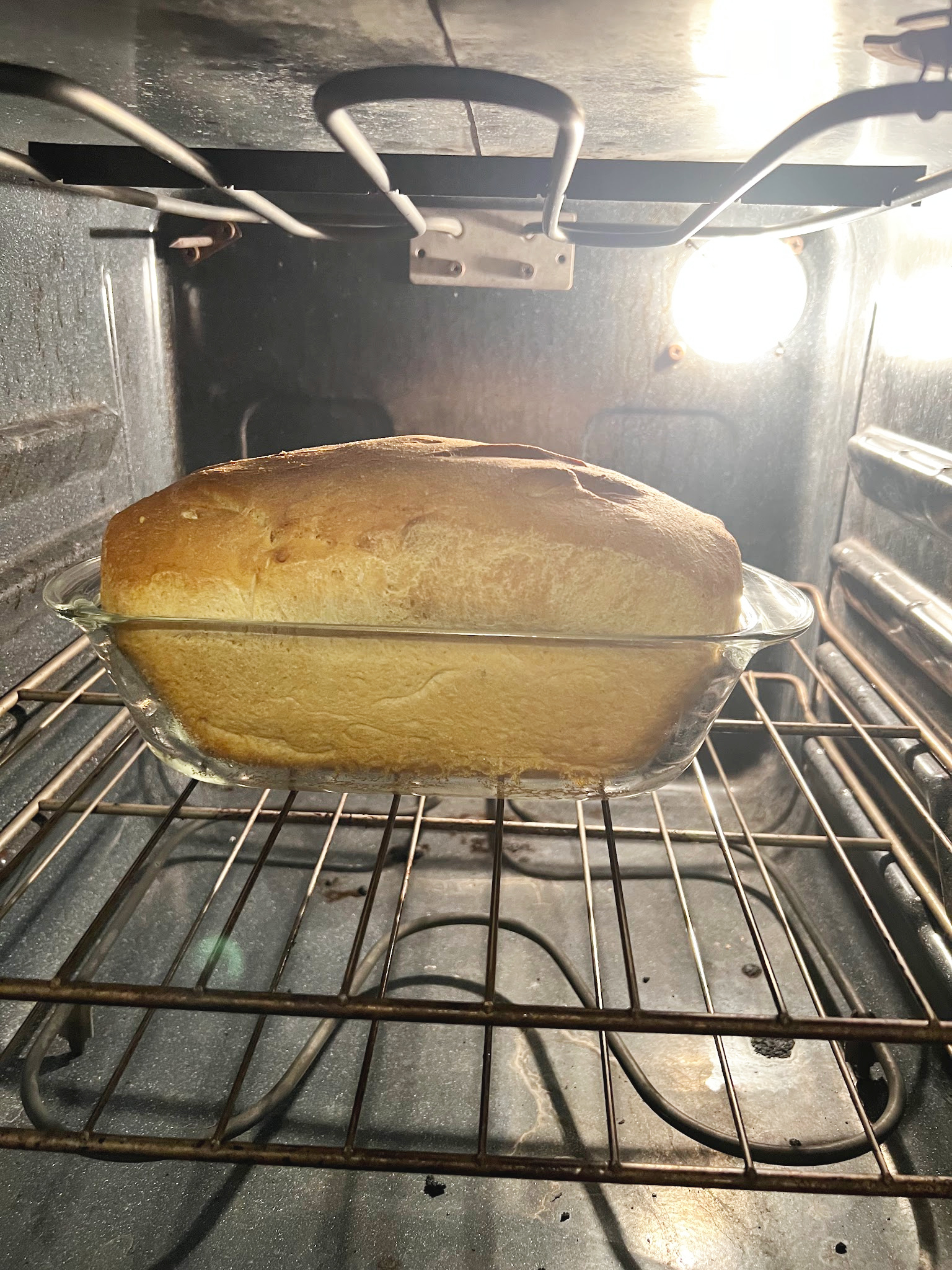 Easy Honey Whole Wheat Bread - thecommonsensegrandma.com